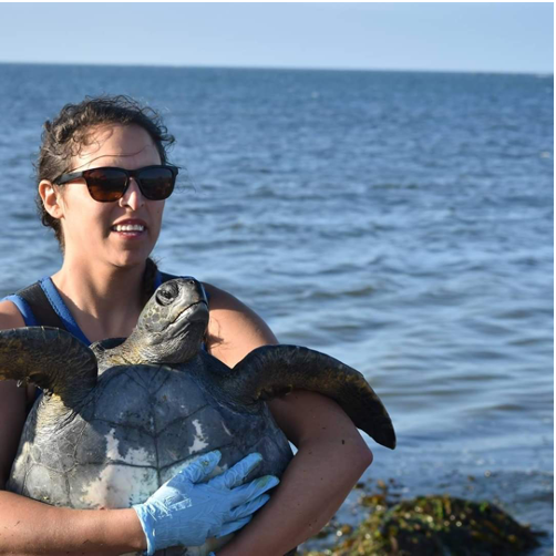 Nosotros – QARAPARA